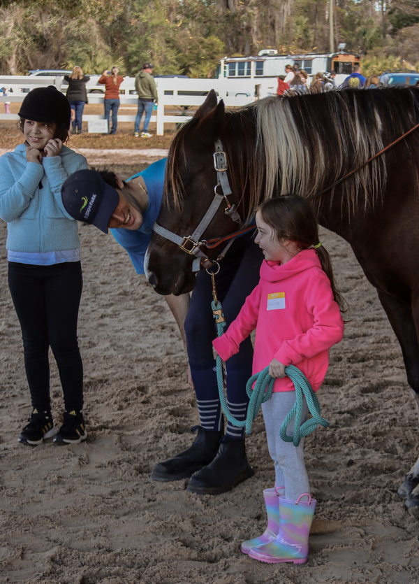 Wild Heart Riding School